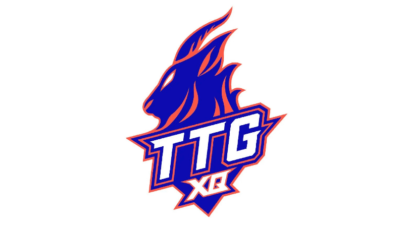 趣丸 - 兴趣创造价值